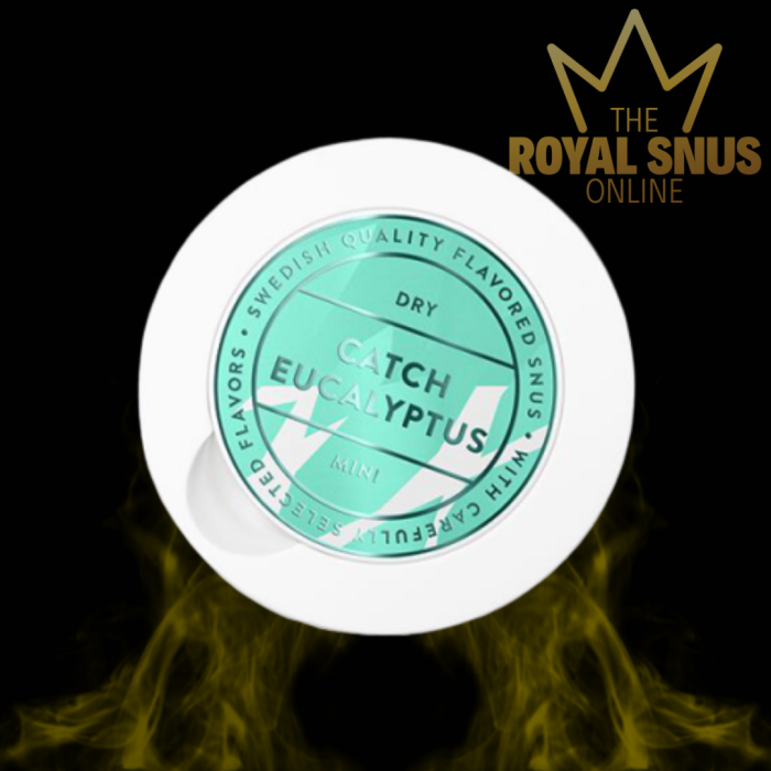 Buy Catch Eucalyptus White Dry Mini Snus - Order Snus Online | WWW ...