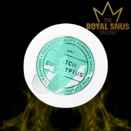 Buy Catch Eucalyptus White Dry Mini Snus - Order Snus Online | WWW ...